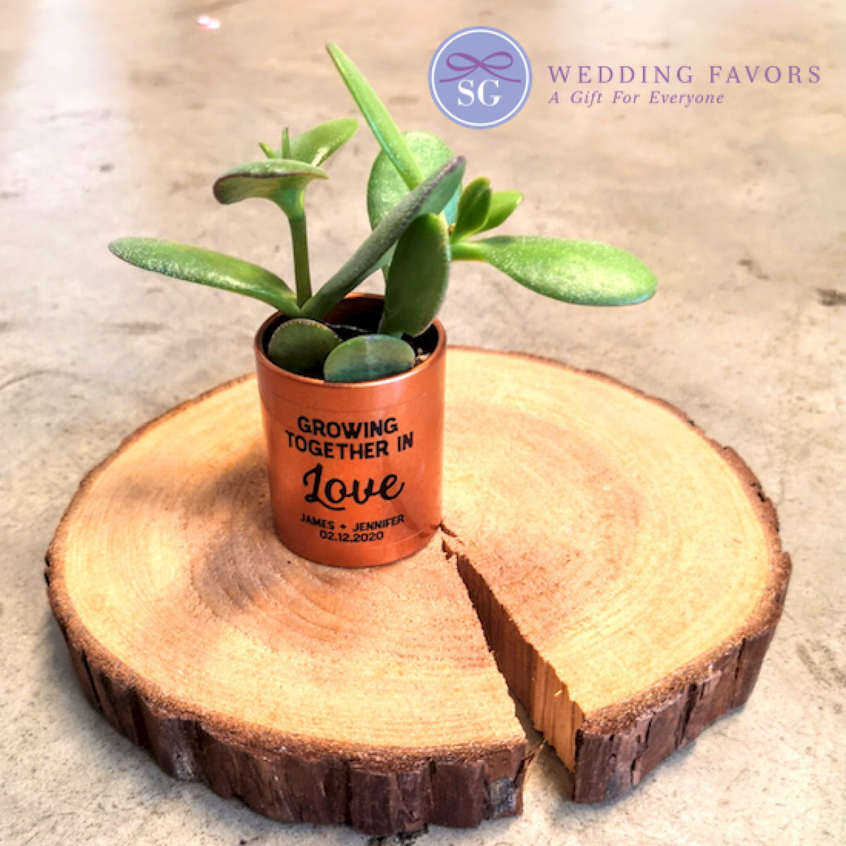 Succulents in Copper